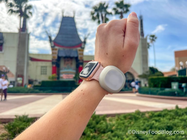 3 Things I Wish I Knew Before Paying $55 for a MagicBand in Magic ...