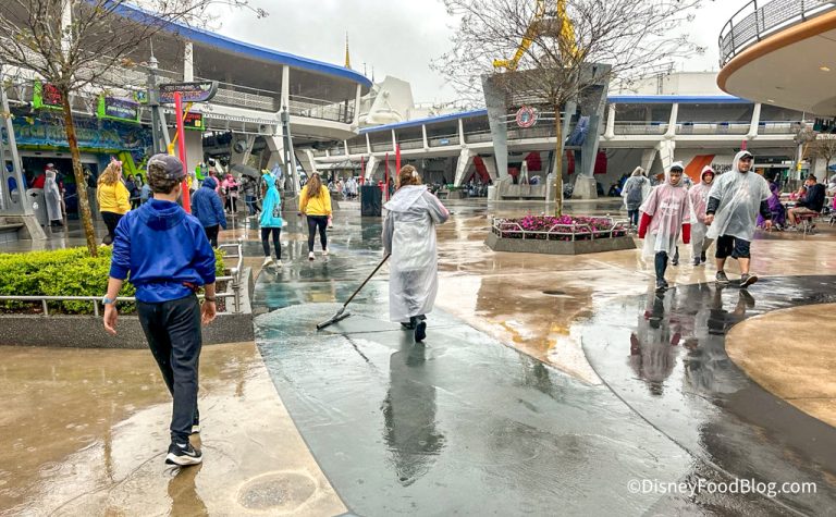 NEW RULES For Hurricane Season in Disney World for 2025 | the disney ...