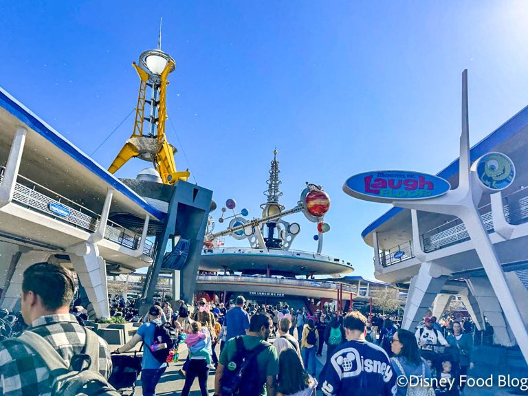 BEWARE of the Loading Zone on These Two Disney World Rides | the disney ...