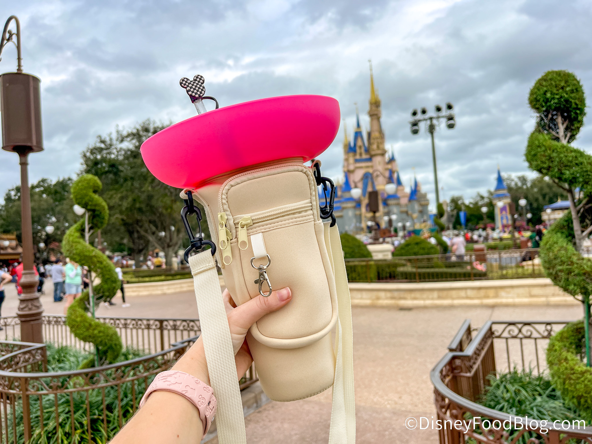 The Best Stanley Water Bottle To Take to Disney World | the disney food ...