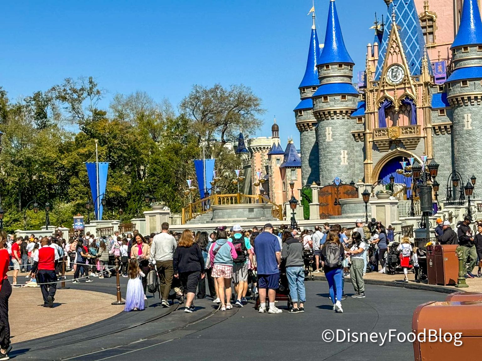 Disney World Was PACKED on a Random Wednesday in February, and We Think ...