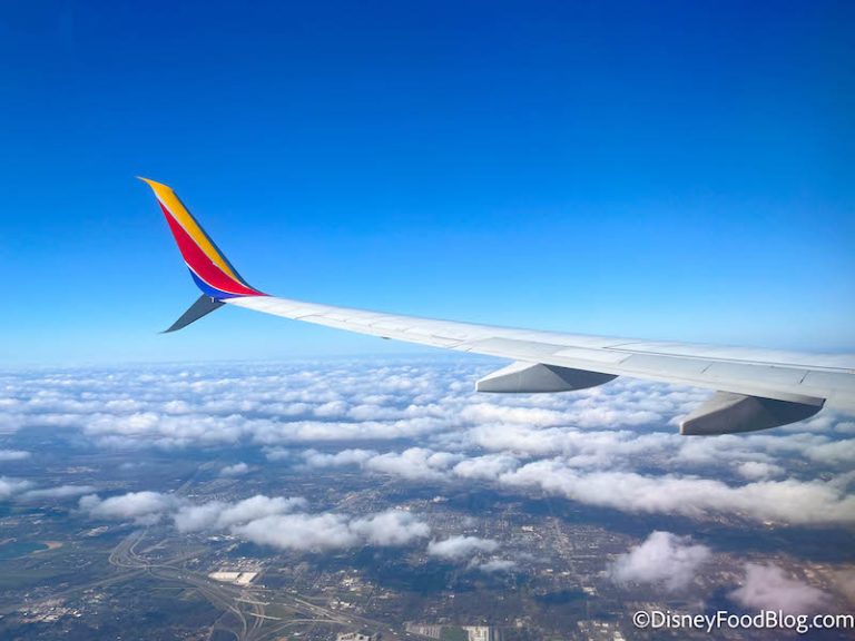 5 Travel Essentials We're Never Flying Without Again | the disney food blog