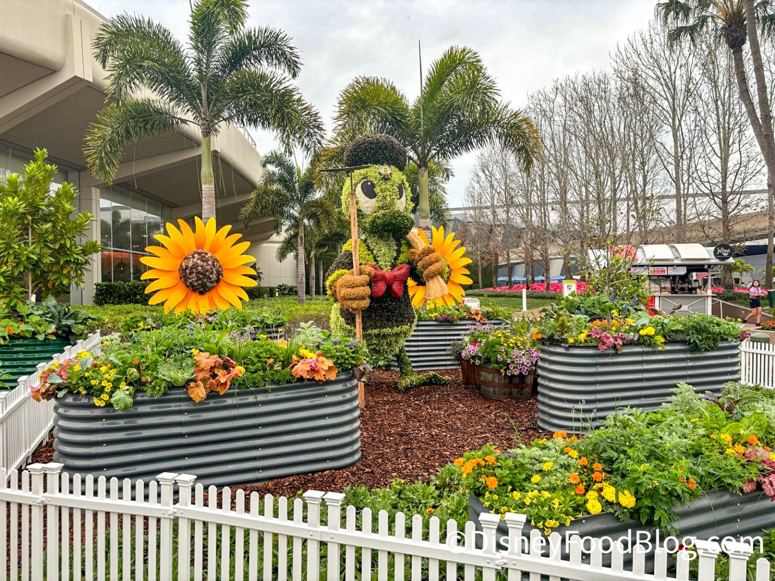beach grub | the disney food blog