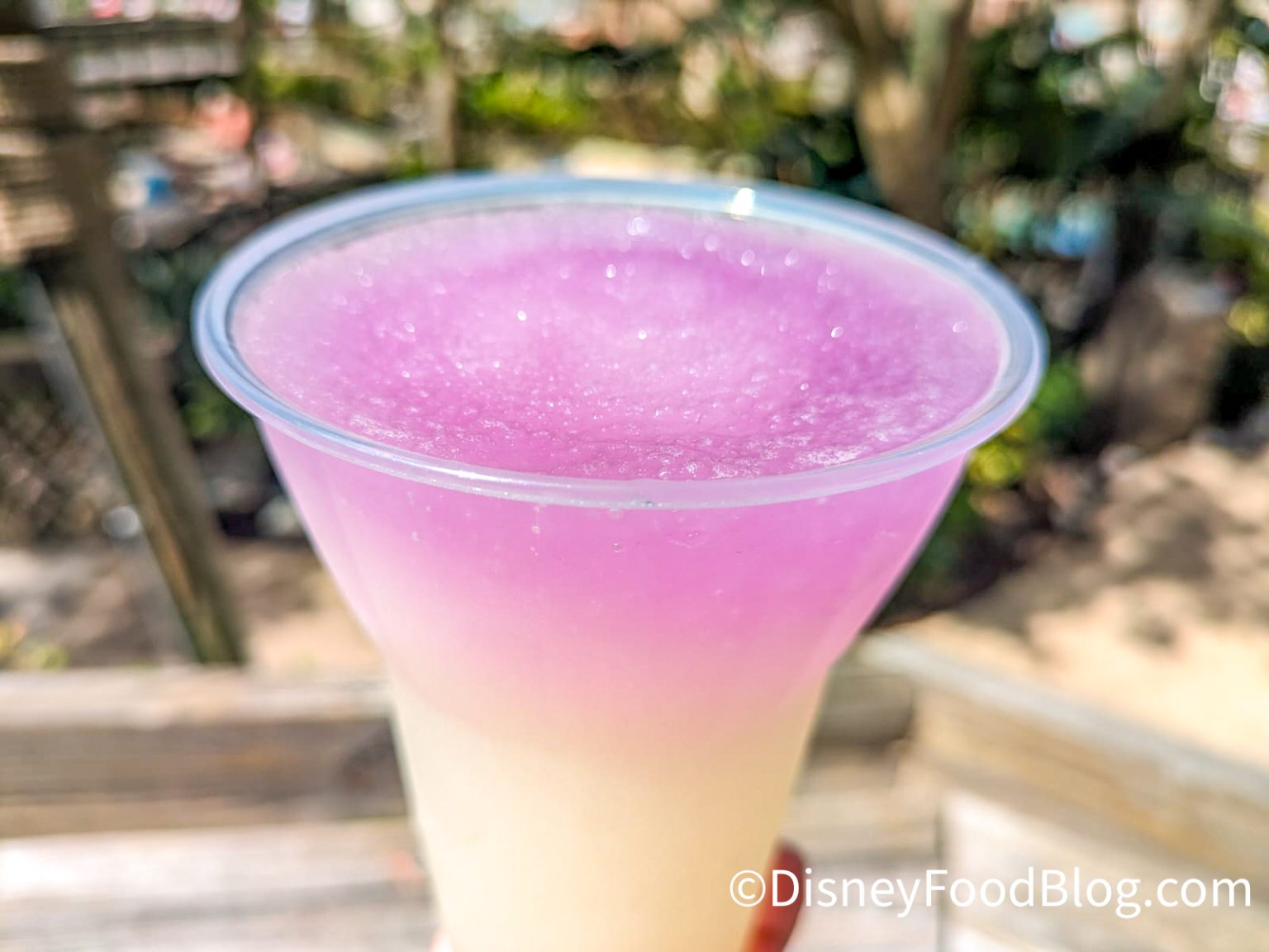 REVIEW: There's a NEW Dole Whip Treat in Disney World and It's Served ...