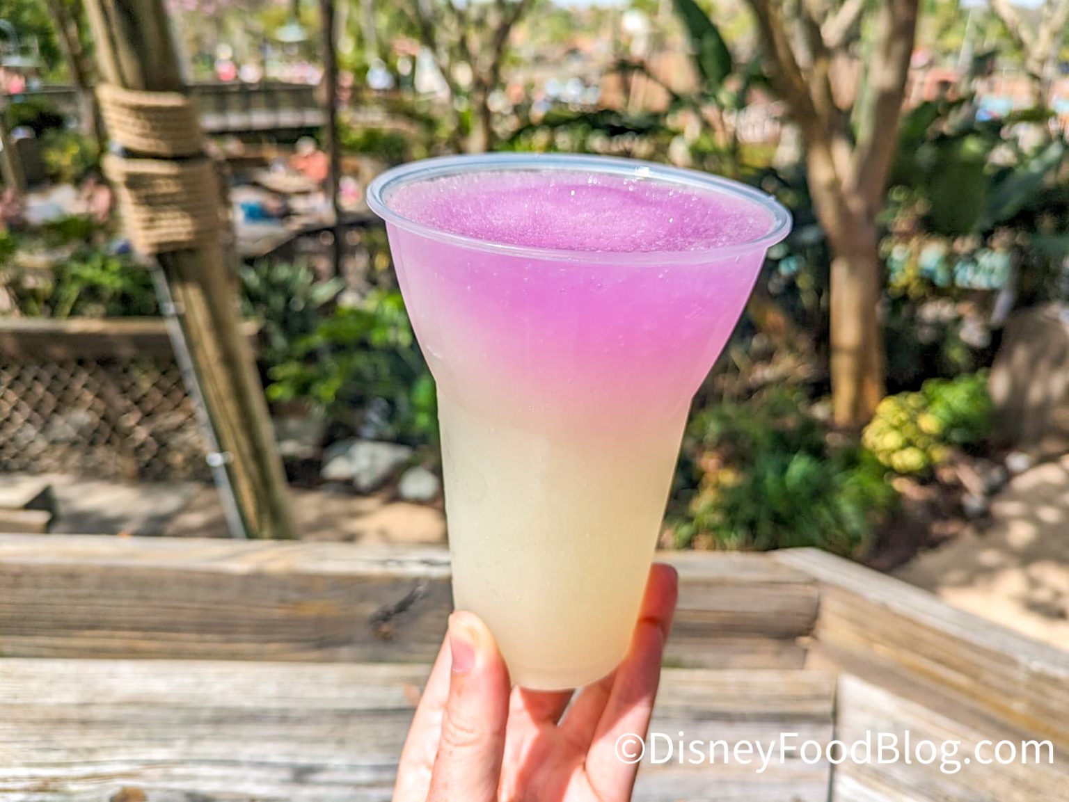 REVIEW: There's a NEW Dole Whip Treat in Disney World and It's Served ...