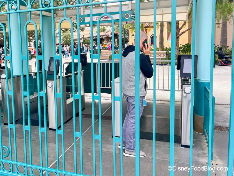 NEW LOOK at Disney's $4.8 Million Park Entrance Makeover | the disney ...