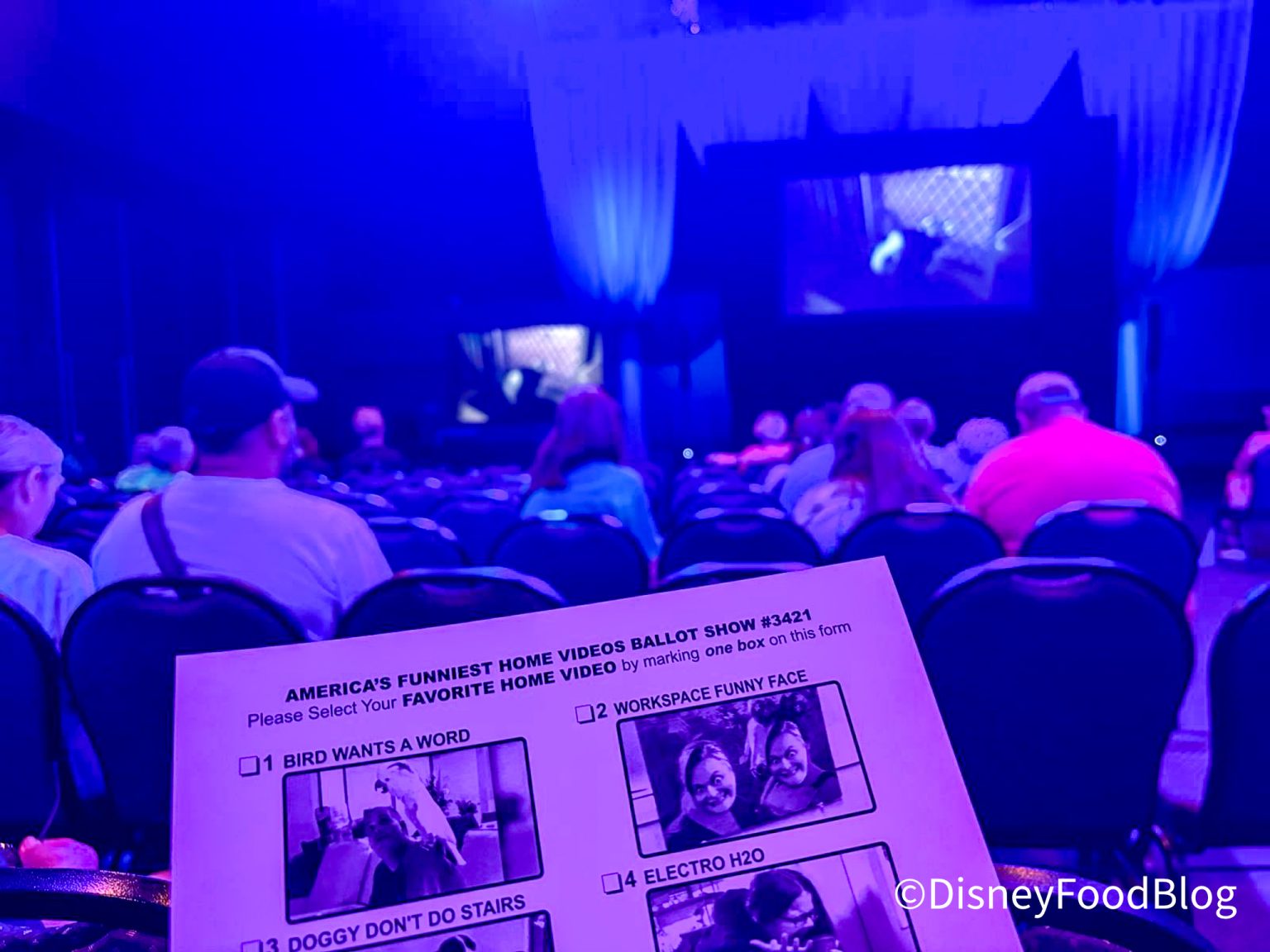 Hurry! This Super RANDOM Activity Is Only in EPCOT for ONE MORE DAY ...