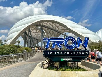 Everything You Need to Know About Lightning Lanes in Disney World | the ...