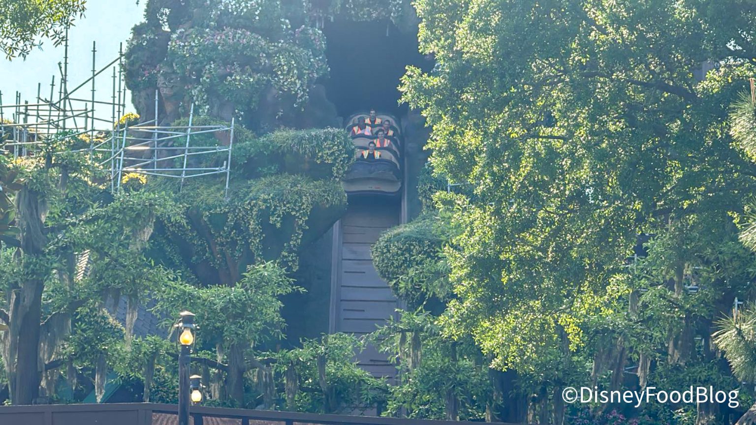 Frontierland Has Entered a New Era Thanks to These 4 Tiana's Bayou ...