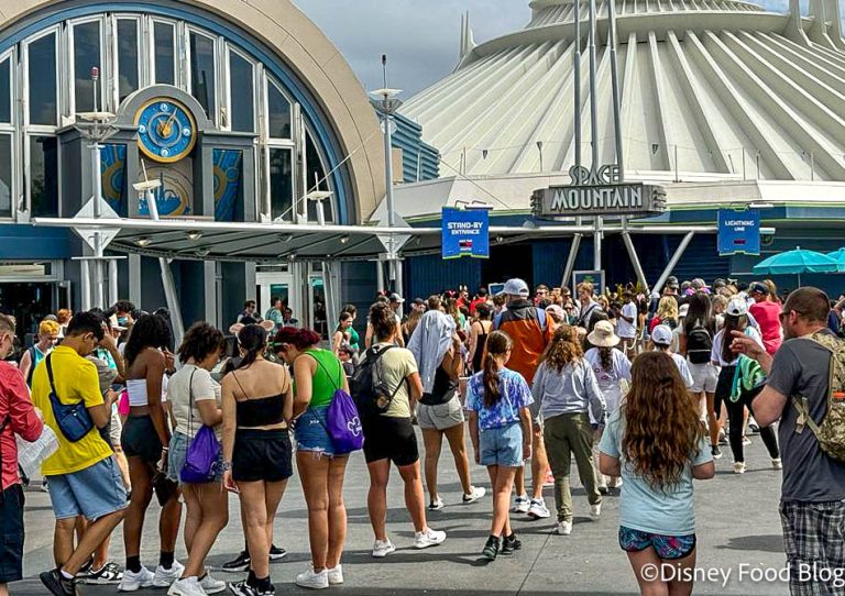This Ride Queue Is Constantly Causing CHAOS in Magic Kingdom | the ...