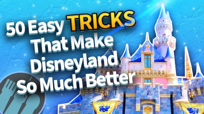 DFB Video: 50 Easy Tricks That Make Disneyland So Much Better | the ...