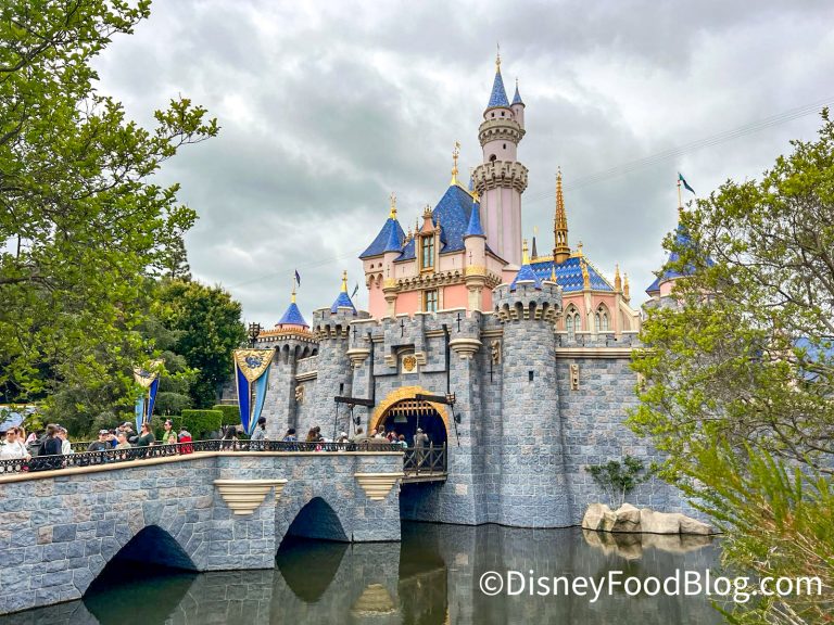 Your Guide to Wheelchair and ECV Accessible Rides in Disney World | the ...