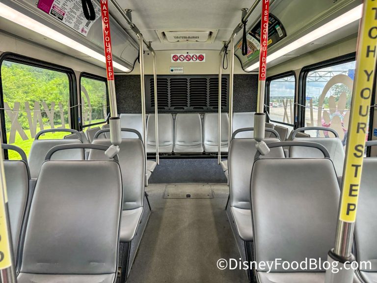 How To Get from the Orlando Airport to Disney World for ONLY $2 | the ...