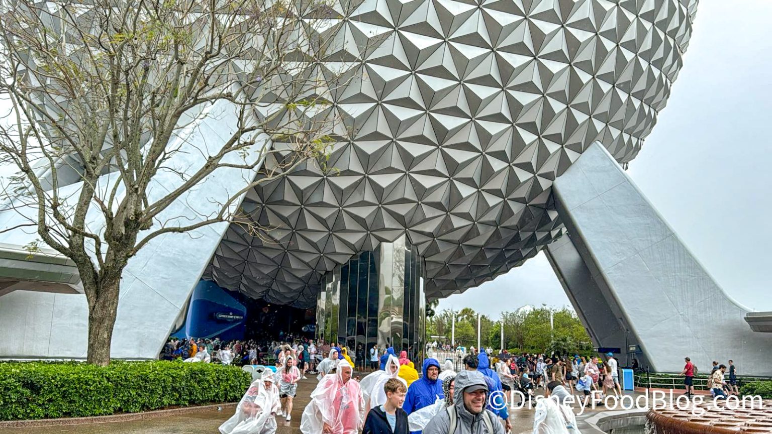 NEW RULES For Hurricane Season in Disney World for 2025 | the disney ...