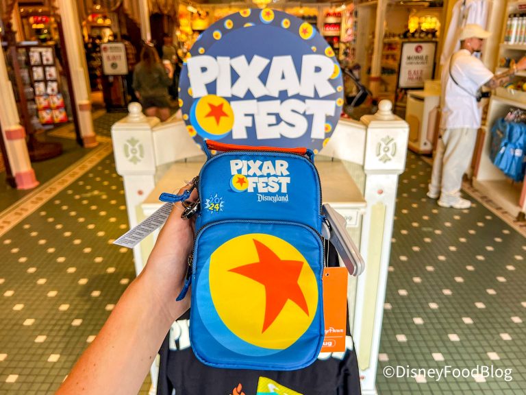 Your New Favorite Park Bag Just Landed at Disney's Pixar Fest! | the ...