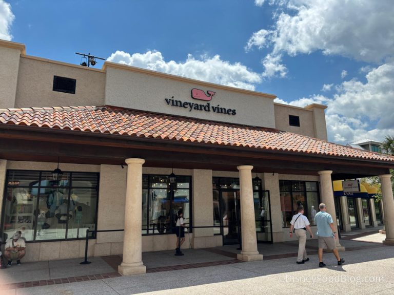 What's NEW in Disney Springs for 2025? | the disney food blog