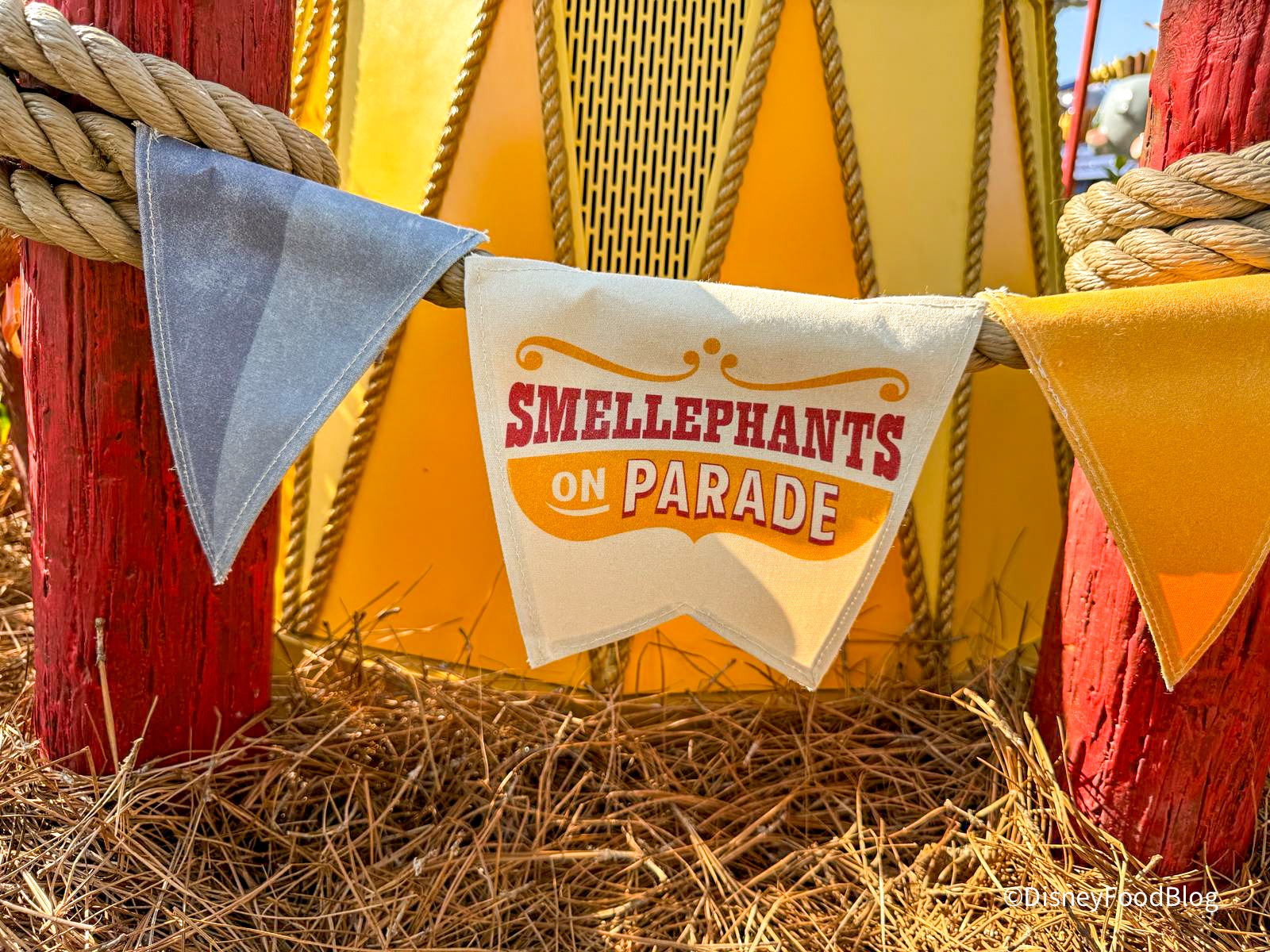 A DFB Reader Just Identified a Potential PROBLEM with Magic Kingdom's ...