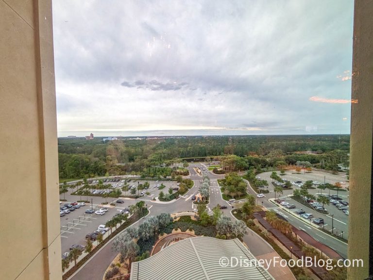 FULL TOUR of the Free Food Available in a Disney World Club-Level ...