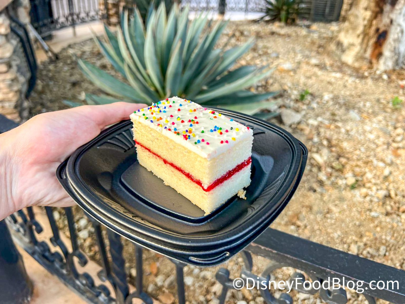 REVIEW: Is The $35 Fantasmic! Dining Package WORTH IT? We Tried It Out ...