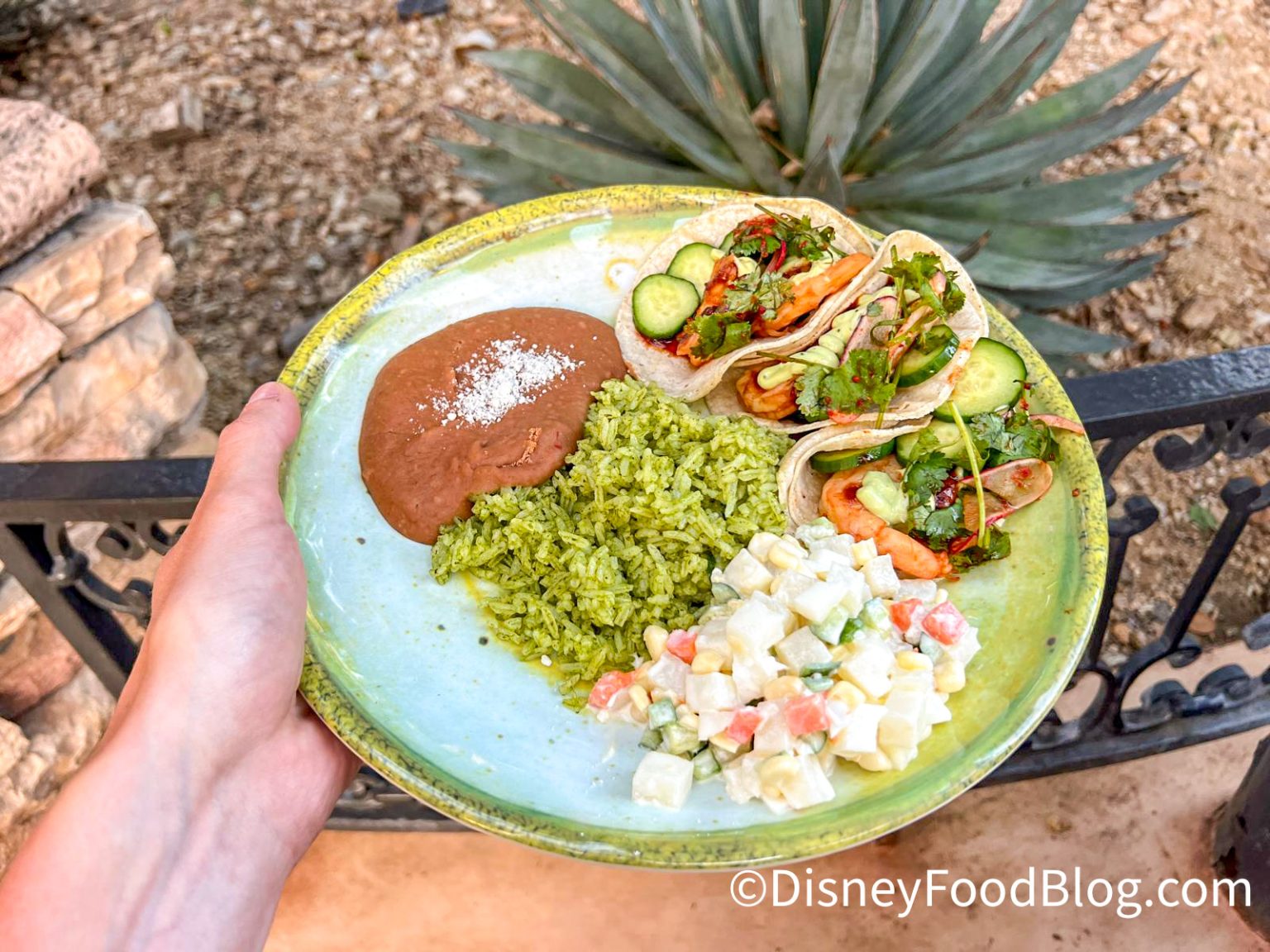 REVIEW: Is The $35 Fantasmic! Dining Package WORTH IT? We Tried It Out ...