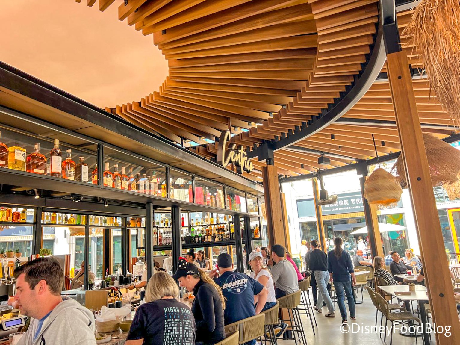 REVIEW: Does Disney's NEWEST Restaurant Have One of Our FAVORITE ...