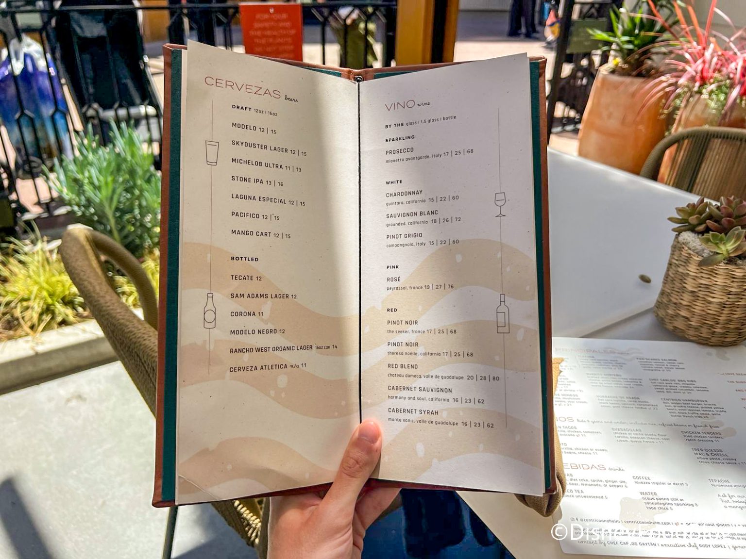 REVIEW: Does Disney's NEWEST Restaurant Have One of Our FAVORITE ...