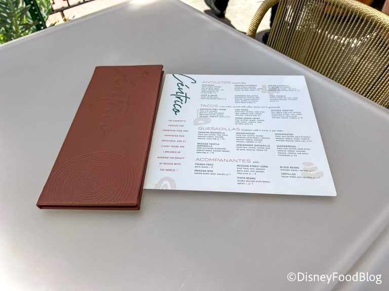 REVIEW: Does Disney's NEWEST Restaurant Have One of Our FAVORITE ...