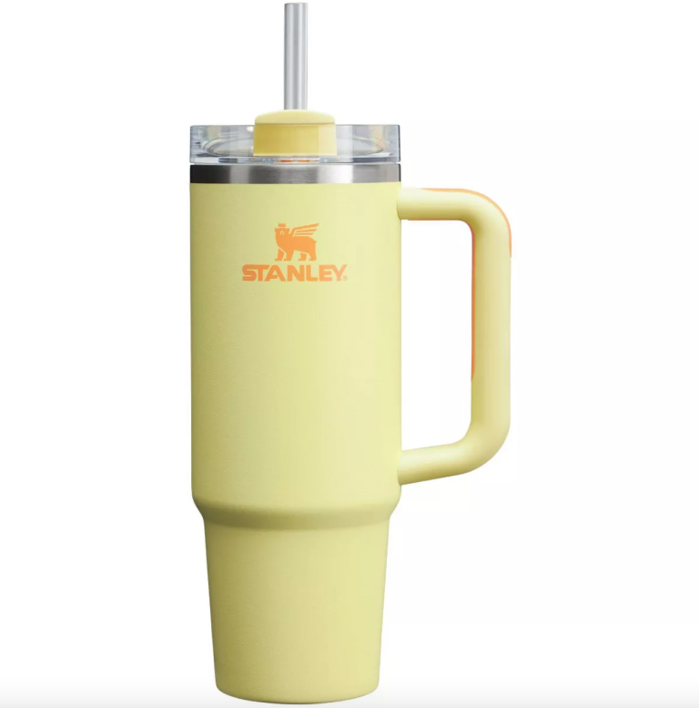 A NEW Summer Stanley Collection Just Dropped at Target! | the disney ...