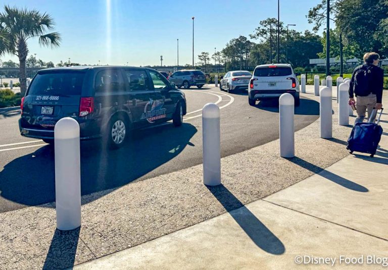 5 Tips For the NEW Disney Springs Bus Rule | the disney food blog