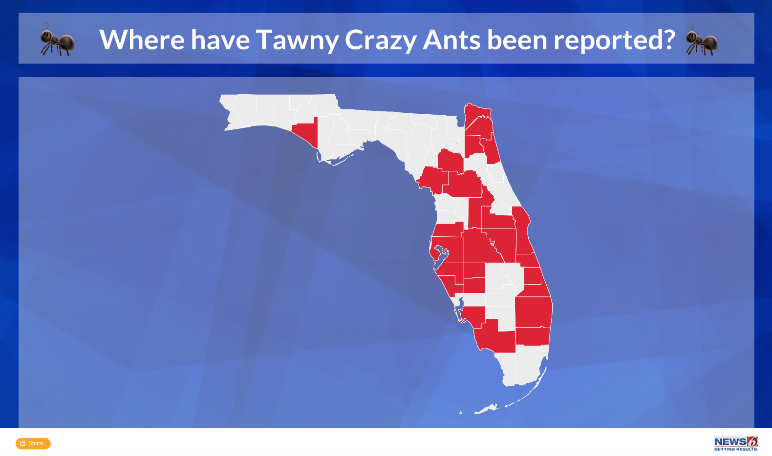 A 'Crazy Ant' Species Has Been Spotted Near Disney World. No, Really ...