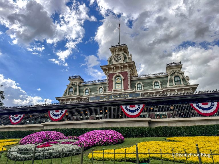 What Happens If You Refuse to Follow A Rule in Disney World? | the ...