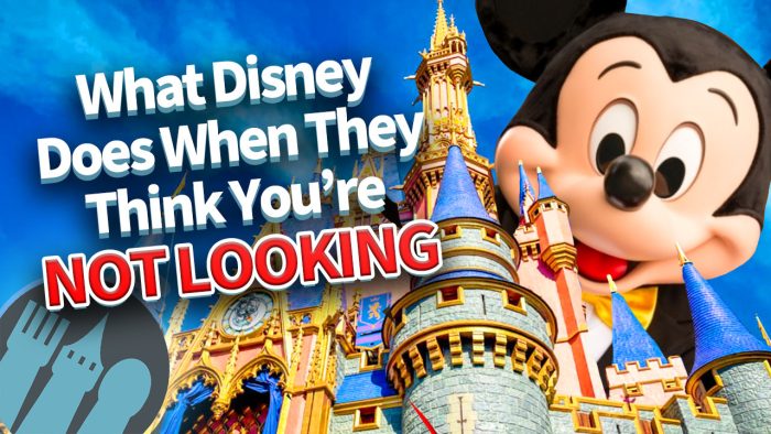 DFB Video: What Disney Does When They Think You're Not Looking | the ...