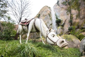 FIRST LOOK INSIDE Disney's NEW Tangled Ride: Rapunzel's Lantern ...