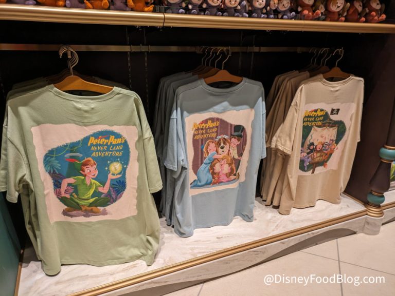 Come With Us To Shop ALL THE SOUVENIRS From Disney's NEW Fantasy ...