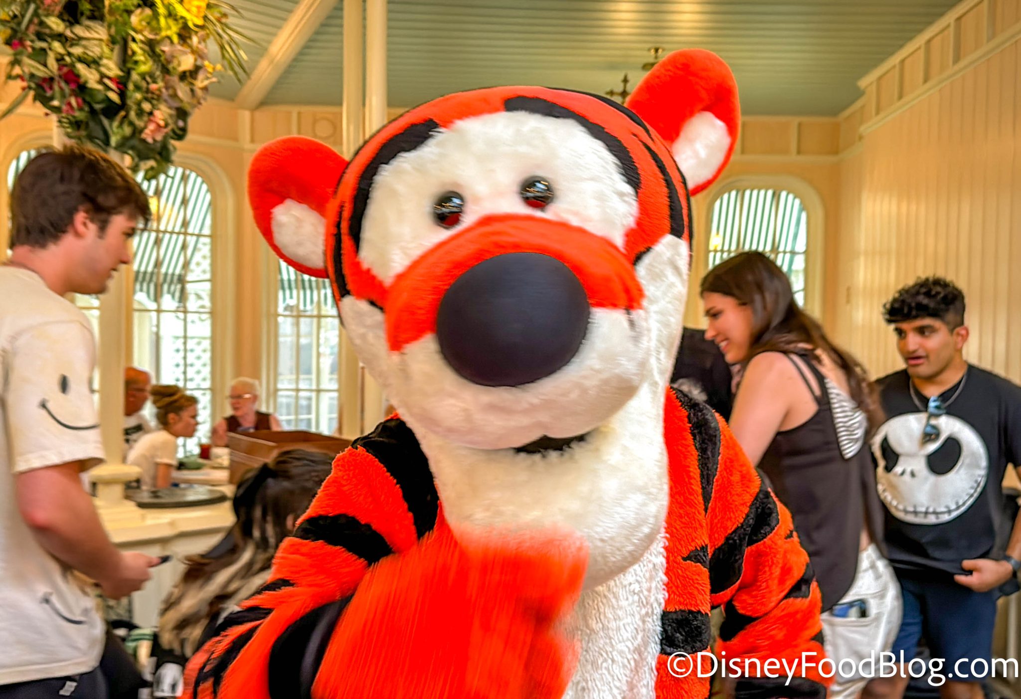 REVIEW: I Got TWO Character Meals for the Price of ONE in Magic Kingdom ...
