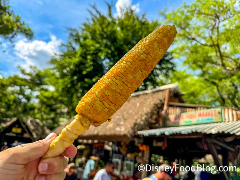 REVIEW: WHY Disney? This Subtle Snack Change Is a Total DOWNGRADE | the ...