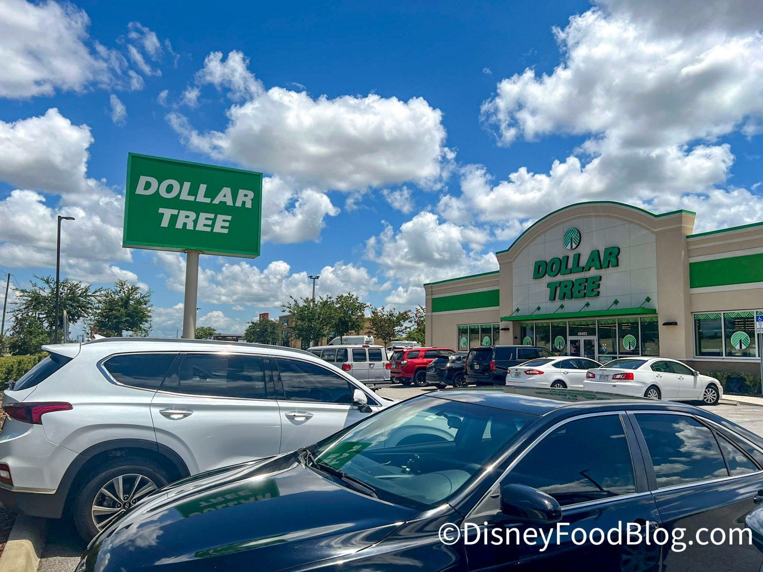 I Went to 9(‼️) Orlando Dollar Trees to Find This SOLD-OUT Product, and ...