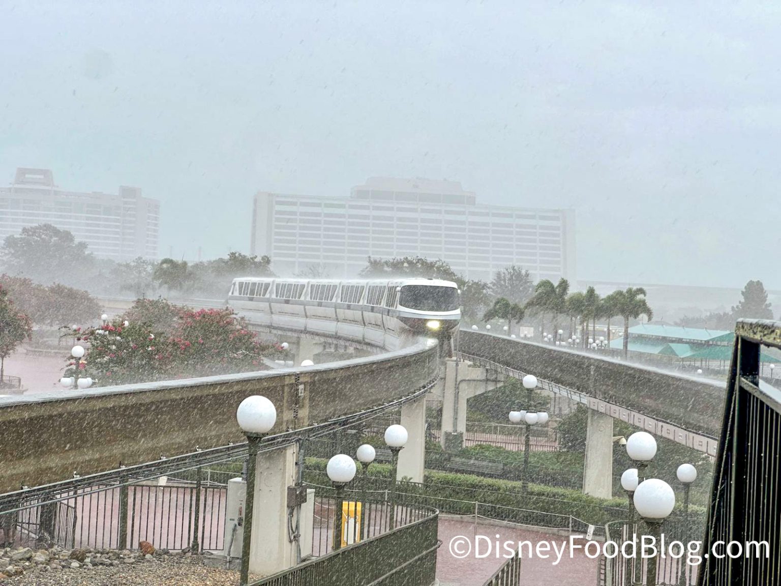 NEW RULES For Hurricane Season in Disney World for 2025 - Disney by Mark