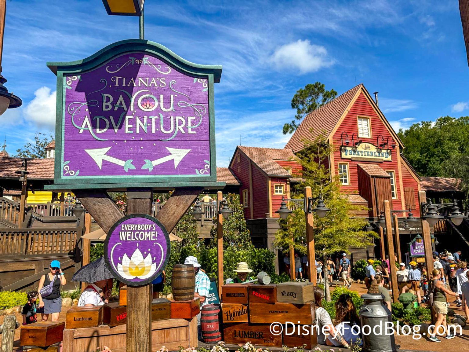 What Happens When You're LATE for Your Tiana's Bayou Adventure Virtual ...