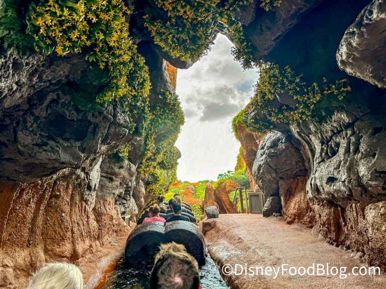 Tiana's Bayou Adventure — A 'Princess and the Frog'-themed Ride in ...