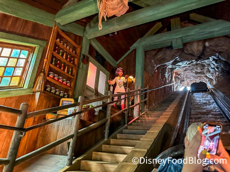 Tiana's Bayou Adventure — A 'Princess and the Frog'-themed Ride in ...