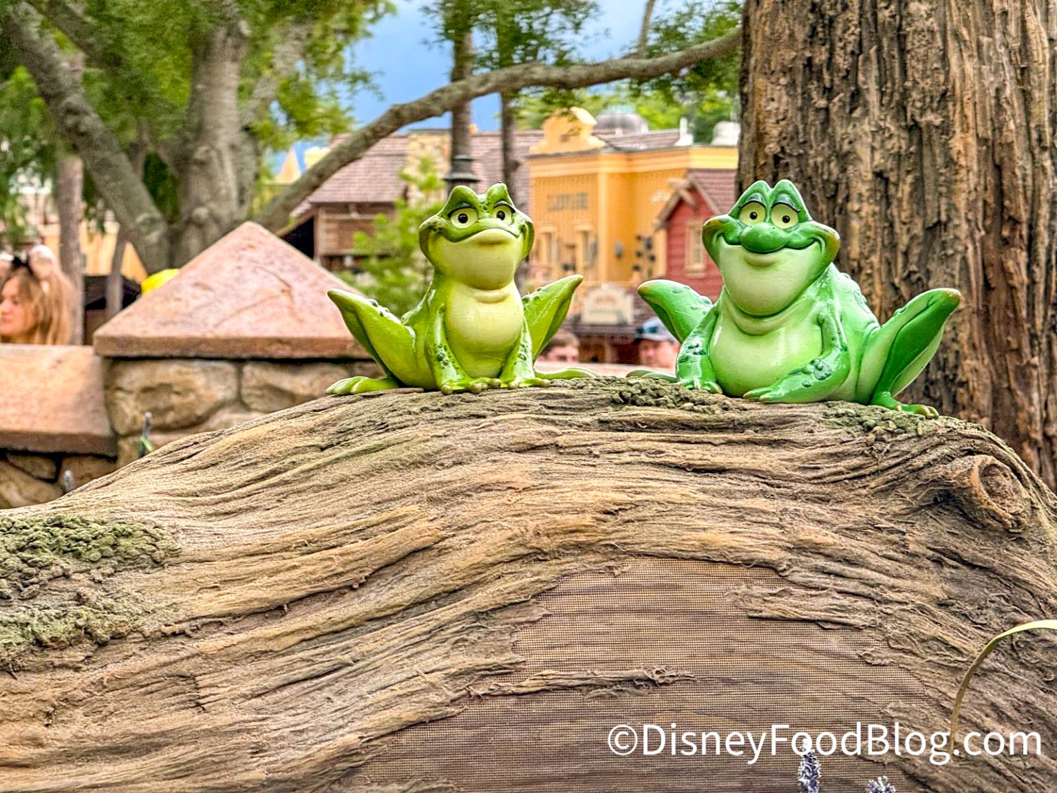 REMINDER: Tiana's Bayou Adventure Opens TOMORROW! Here's What You Need ...