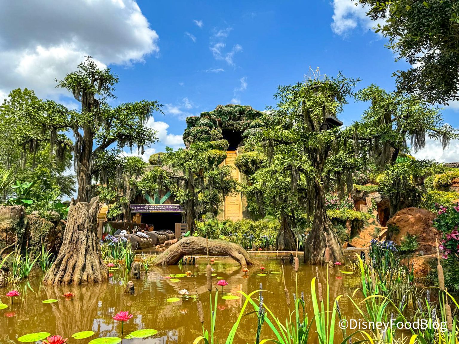 Okay, This Tiana's Bayou Adventure Souvenir Officially WINS Everything ...