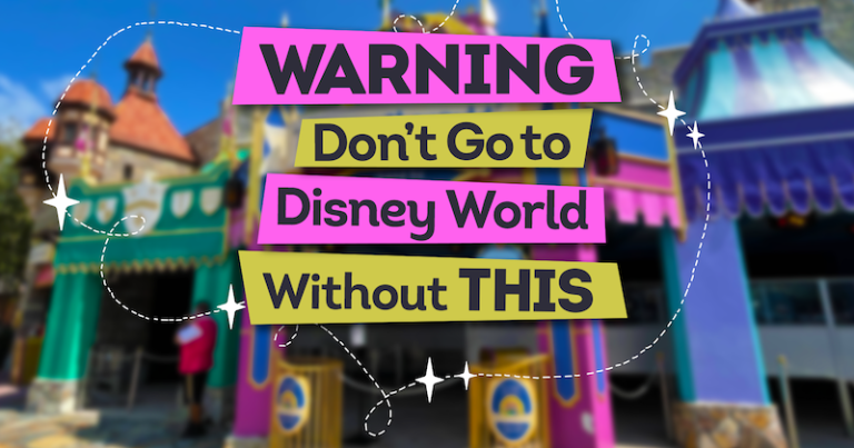 WARNING! Do Not Go to Disney World Without This Item. You'll Regret It ...
