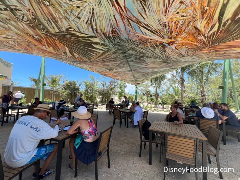 Answering Your 6 Burning Questions About Disney's New Island ...
