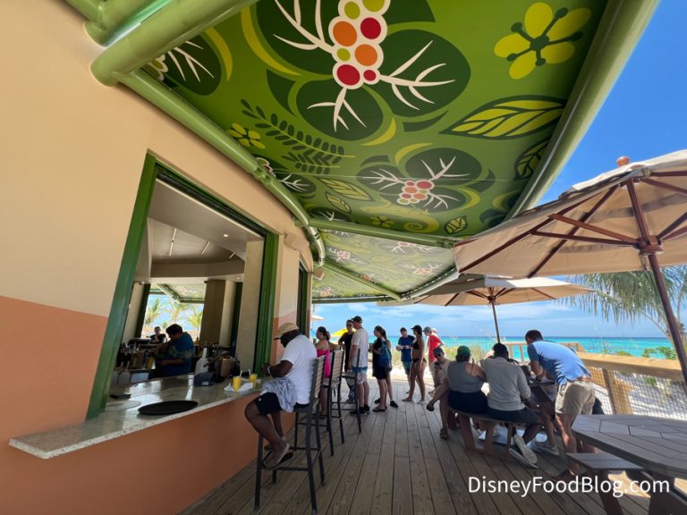 FULL TOUR of the Adults-Only Area at Disney's NEW Island Destination ...