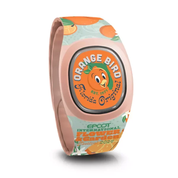 Why You Should Buy Your Disney World Souvenirs Online Right Now | the ...