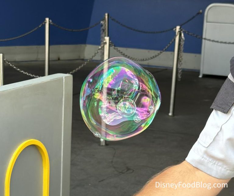 Disney Magic Is Real and His Name Is Mike | the disney food blog