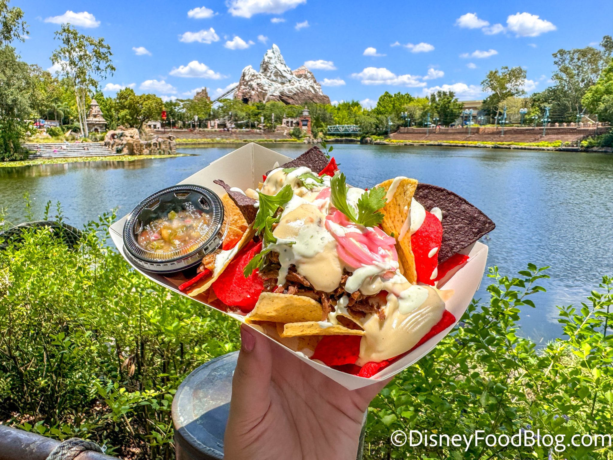 There Are NEW Nachos in Disney World, and They're 100x Better than ...