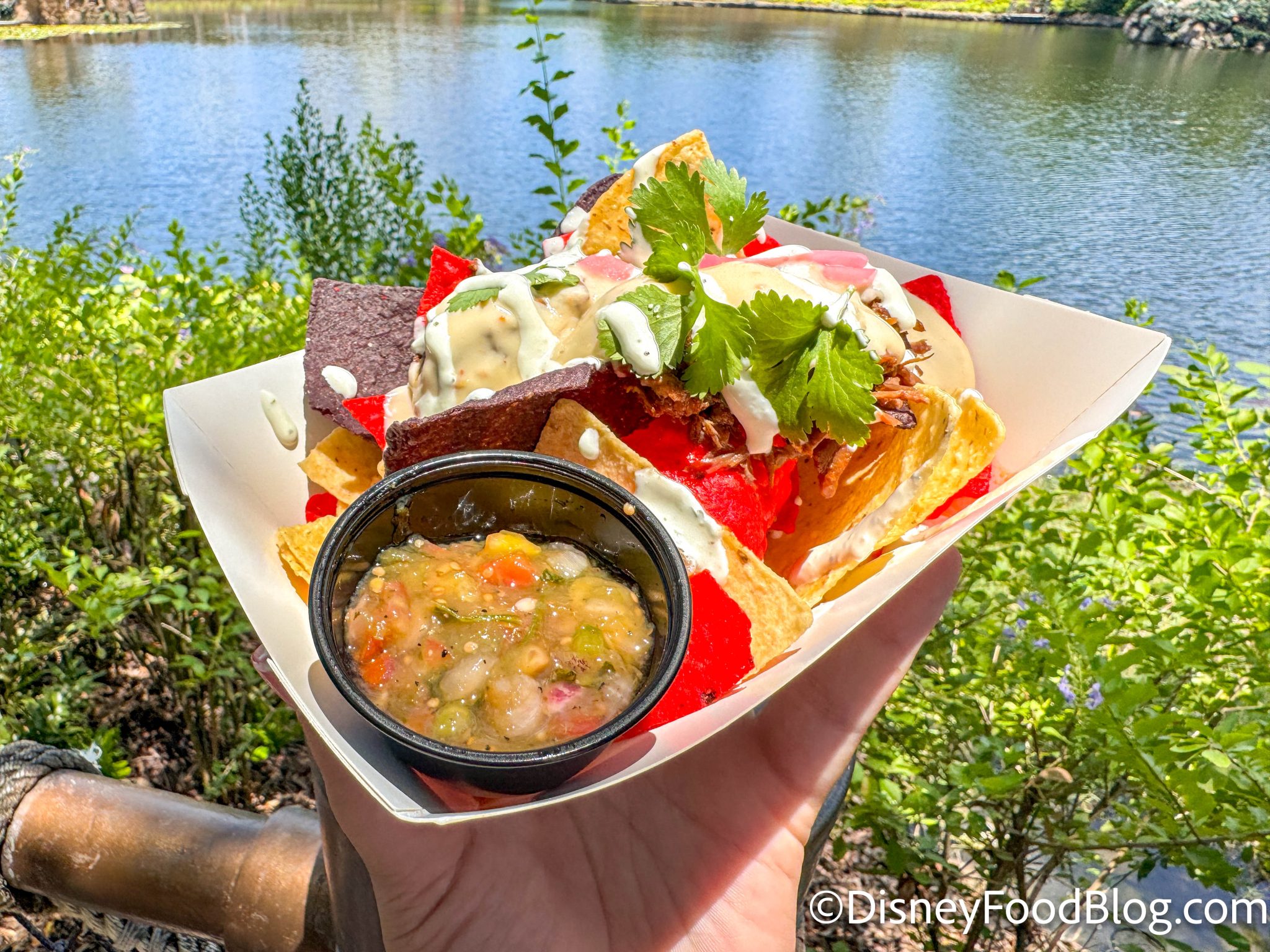 There Are NEW Nachos in Disney World, and They're 100x Better than ...